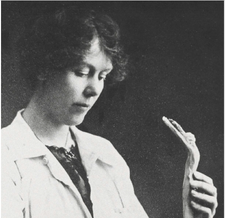 Weckruf an unsere Zeit (Wake-up call to our time) / Exhibition on the ...